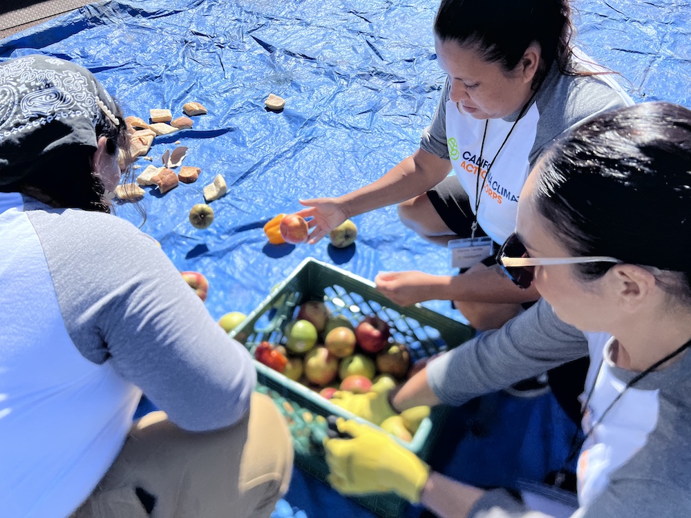 Become a Fellow | California Volunteers